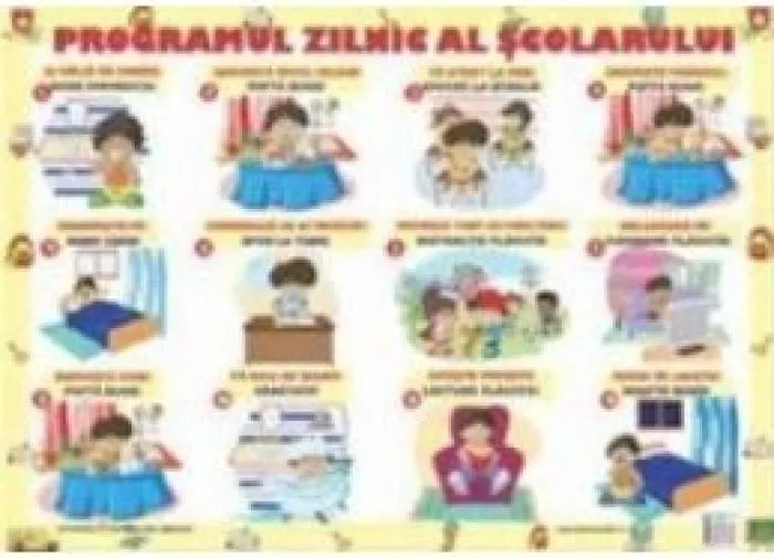 Plansa Programul zilnic al scolarului 978-606-574-642-8 - cel.ro