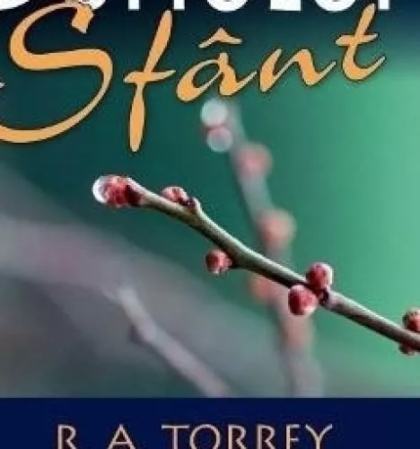 Prezenta si lucrarea Duhului Sfant - R.A. Torrey 978-973-8998-03-2