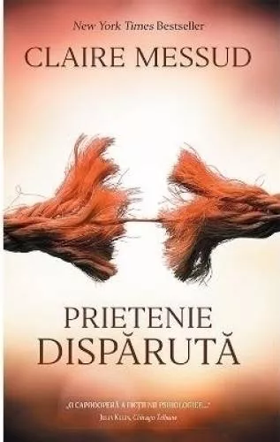 Prietenie disparuta - Claire Messud 978-606-006-108-3 - cel.ro