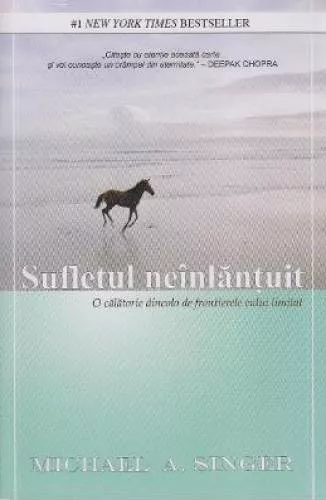Sufletul neinlantuit - Michael A. Singer 978-606-8420-03-5