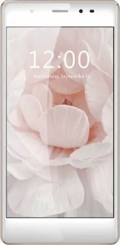 Telefon Mobil Leagoo T1 16GB Dual Sim 4G Auriu lg-t1-gd